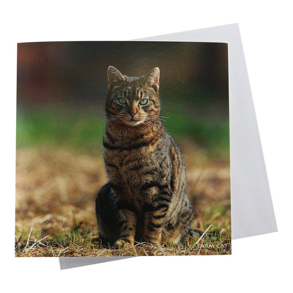Percy Farm Cat Sound Meowing Card | Gifts Made Easy