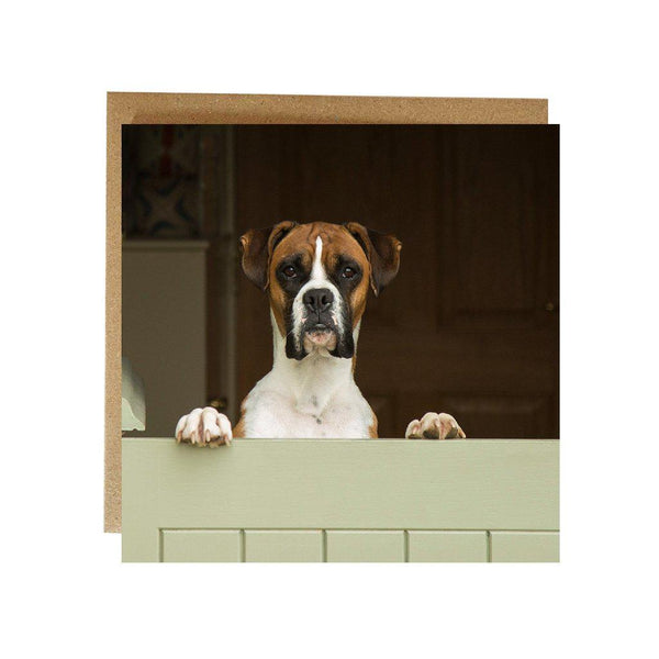Boxer Dog Greetings Birthday Card | Gifts Made Easy